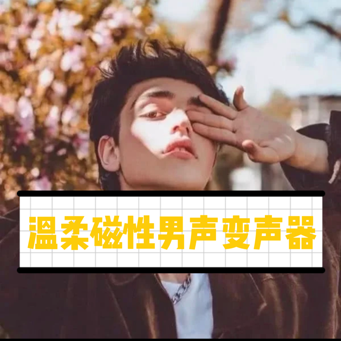 怎么使用MorphVOX Pro 5.0调节出温柔有磁性的男声参数？_变音大师官网